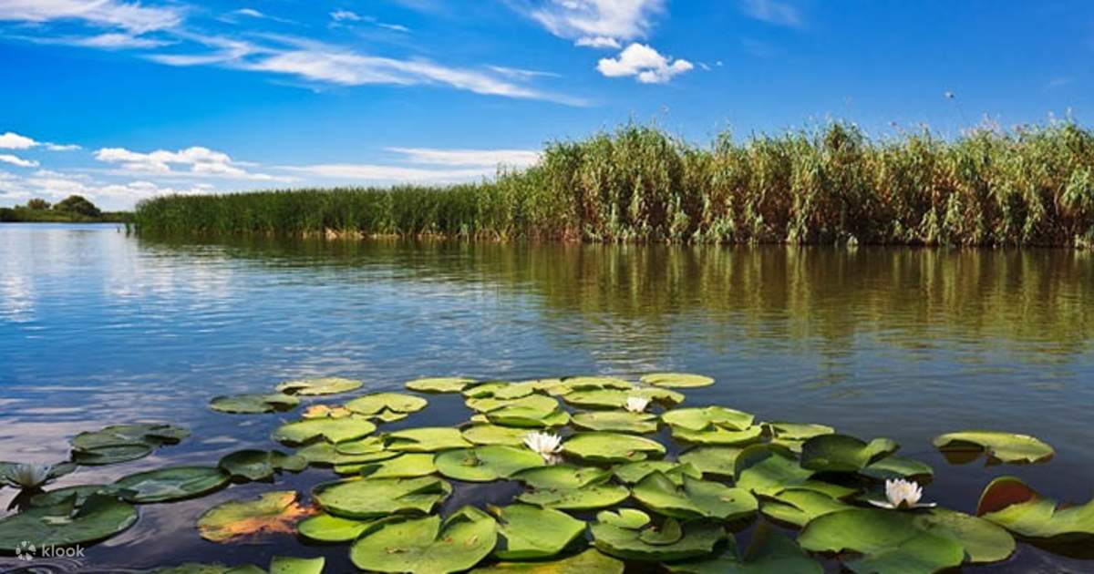 Explore the Wild Danube Delta: Day Tour from Bucharest - Klook New Zealand
