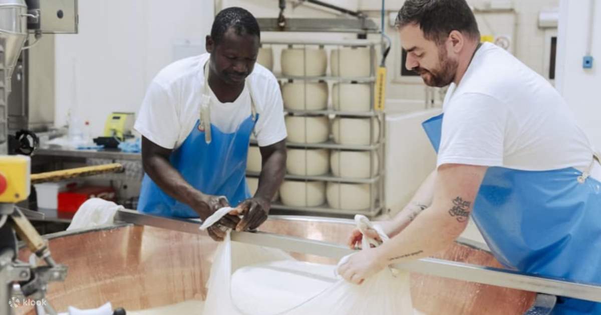 Parmesan cheese factory tour and tasting in Parma - Klook