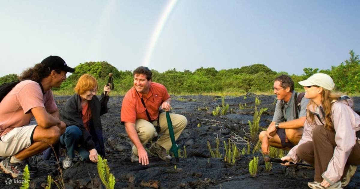 Excursión de día completo al Parque Nacional de los Volcanes en la Isla ...