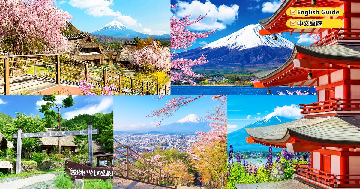 Mt. Fuji Exploration Tour｜Arakurayama Sengen Park·Tendi Town·Oshino ...