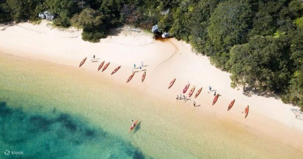 Manly Beach Kayaking Tour - Klook