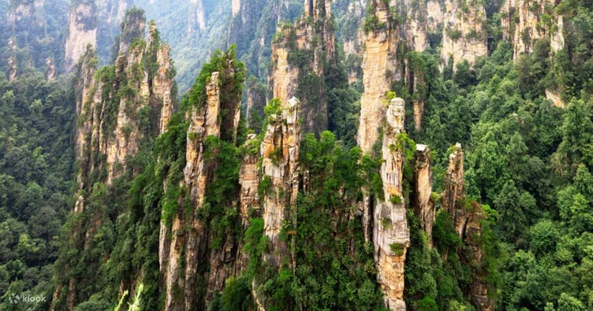 Zhangjiajie National Forest Park Avatar Hanging Mountain Private Day ...