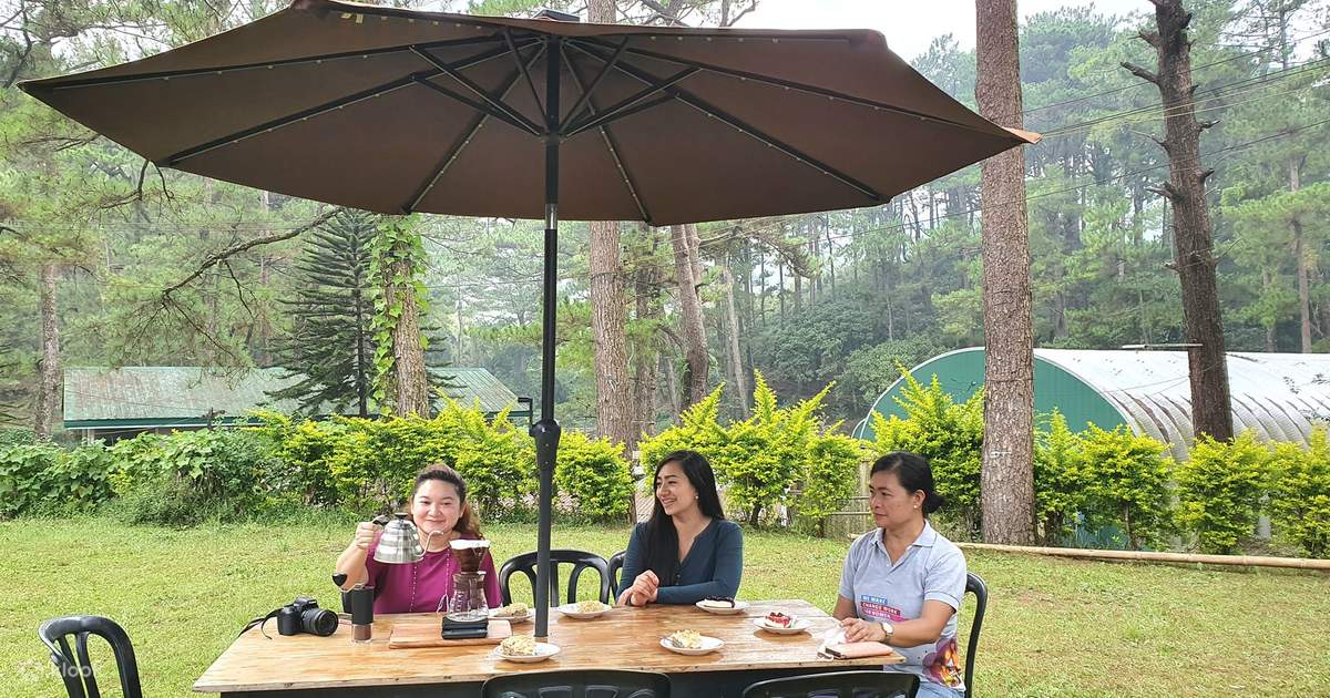 Tur Sehari ke Ladang Pribadi di Tublay - Klook Indonesia