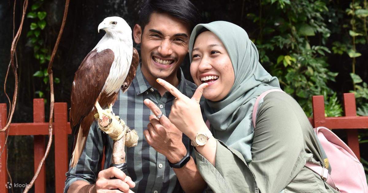 Langkawi Wildlife Park Ticket - Klook Malaysia