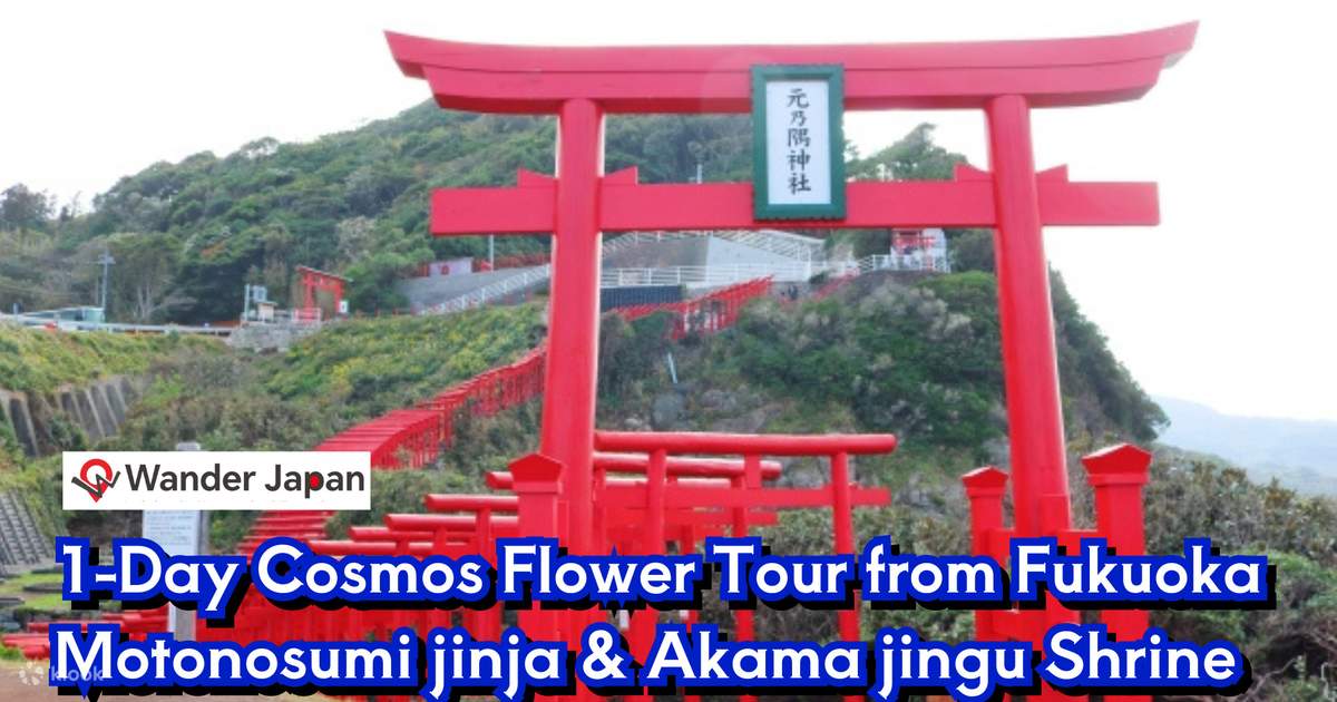 1 Day Akama Shrine & Motonosumi Shrine Autumn Cosmos Tour - Klook Россия