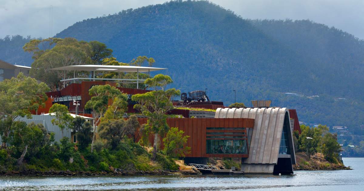 Mona Boat Cruise and Mt Wellington Morning Tour - Klook