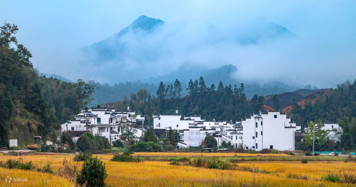 In the lotus room·Xichongyuan, the century-old hometown of Wuyuan Shu ...