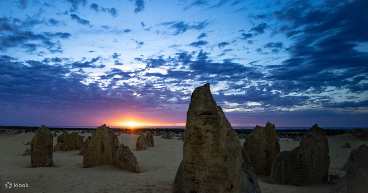 Pinnacles Sunset Dinner Stargazing Tour - Klook Australia