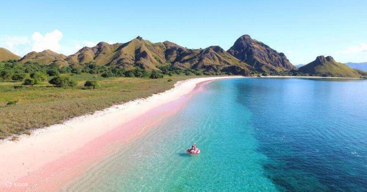 Lawatan Bot Laju Mewah Komodo Sehari Penuh dari Labuan Bajo - Klook ...