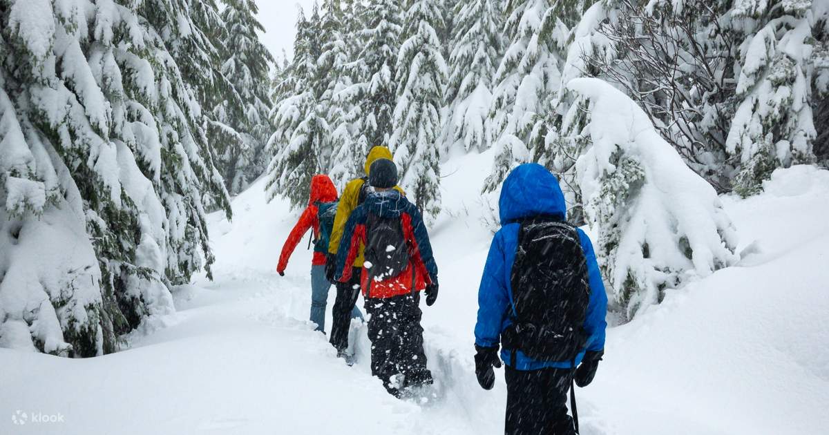 3h Snowshoe Tour in Shiga Kogen - Klook Singapore