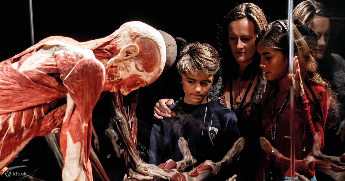 Billet pour BODY WORLDS à Londres - Klook États-Unis