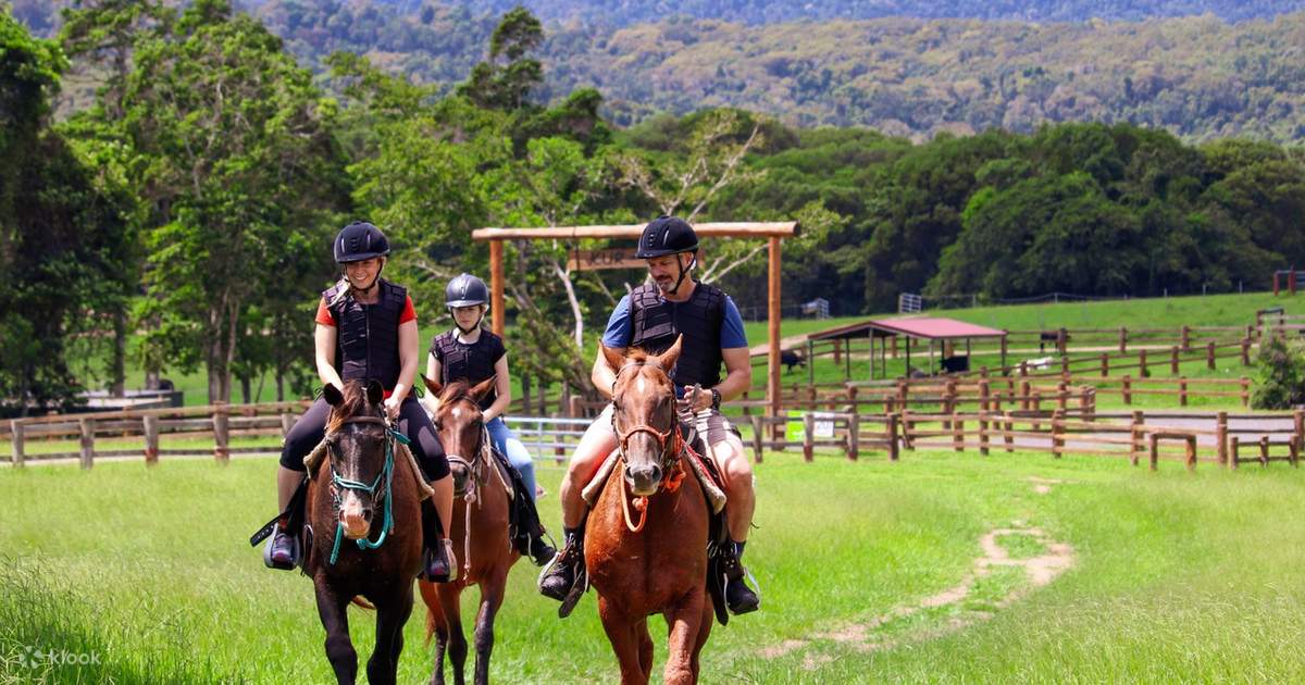 Kur Cow Pasture Experience in Cairns, Australia - Klook United States