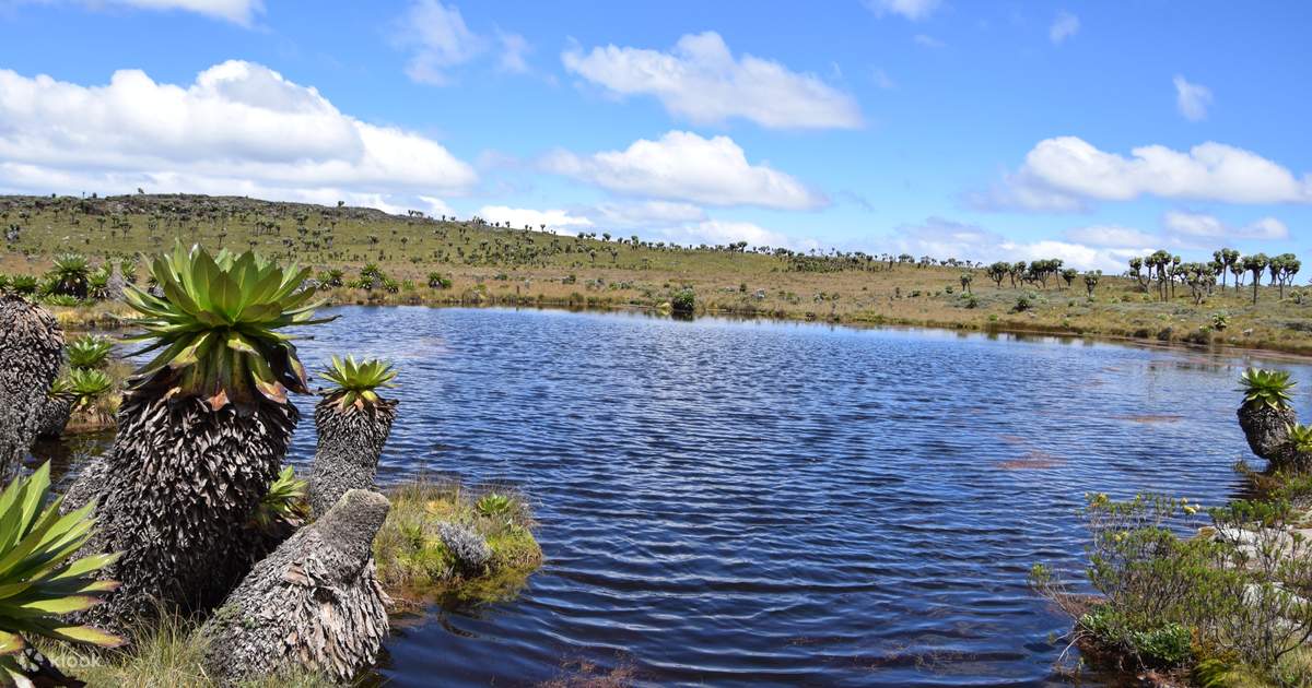 Discover Nature's Magic: One-Day Hike to the Enchanting Seven Ponds of ...