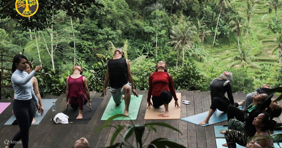 Yoga-Erlebnis bei Sonnenaufgang in Ubud - Klook, Vereinigte Staaten