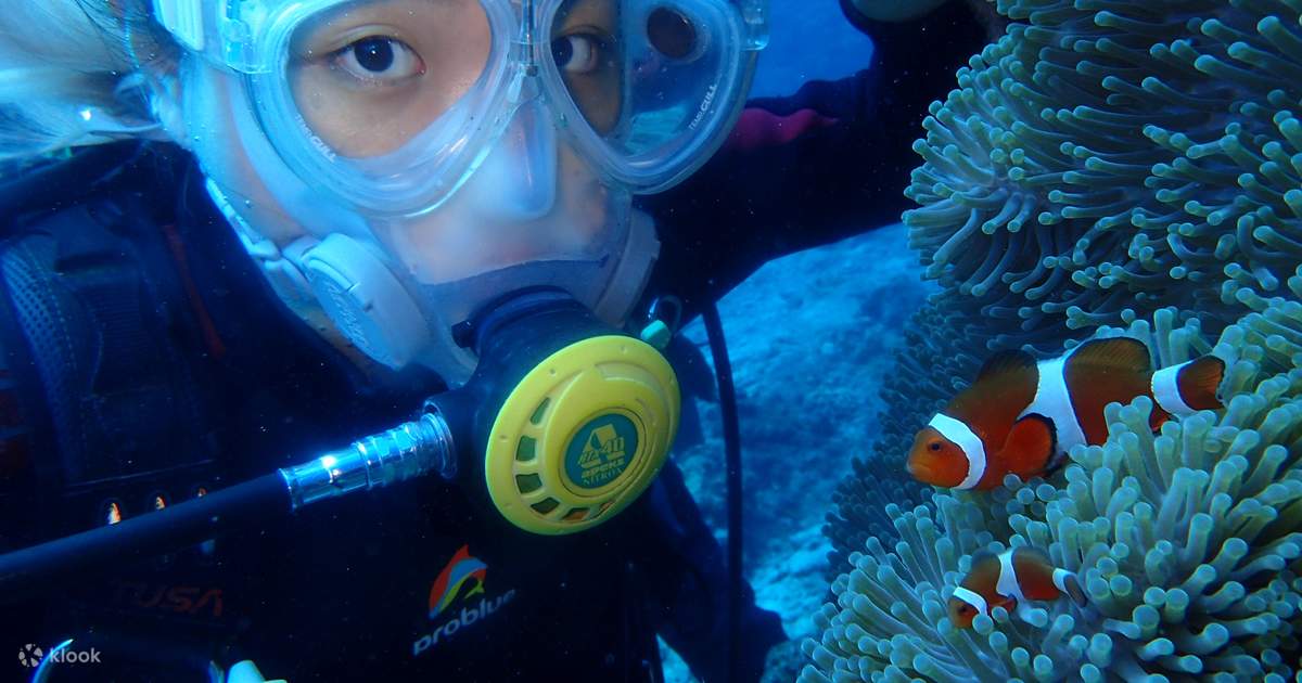 Green Island Lansha Diving Center 3 Tage und 2 Nächte PADI AOW Advanced ...