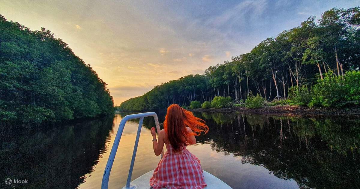 Bongawan Mangrove River Cruise, Fireflies, Sky Mirror dengan Fotografer ...