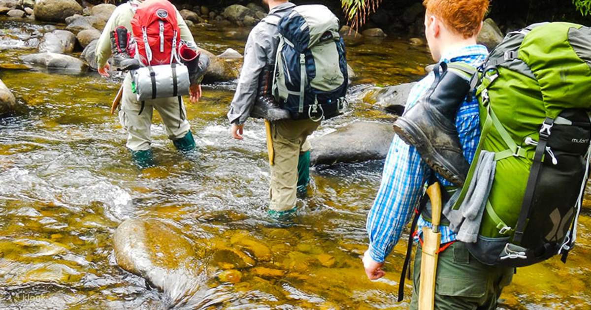 Kawang Forest Reserve Hiking Experience, Malaysia - Klook