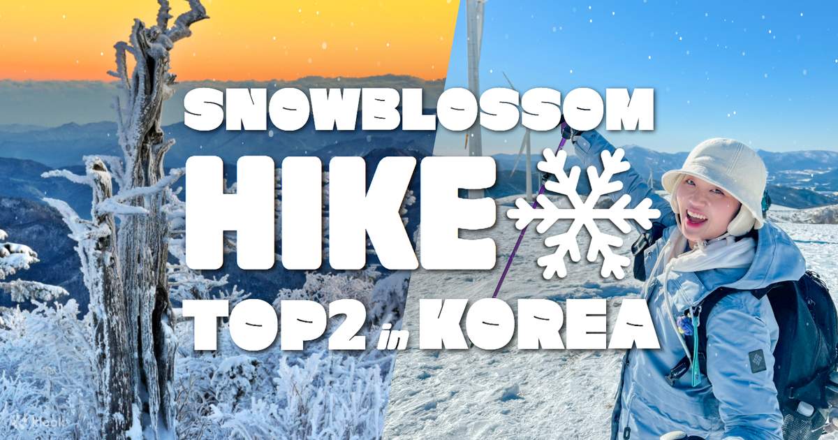 Snow Flower Hiking from Seoul: Taebaeksan Sunrise & Seonjaryeong ...
