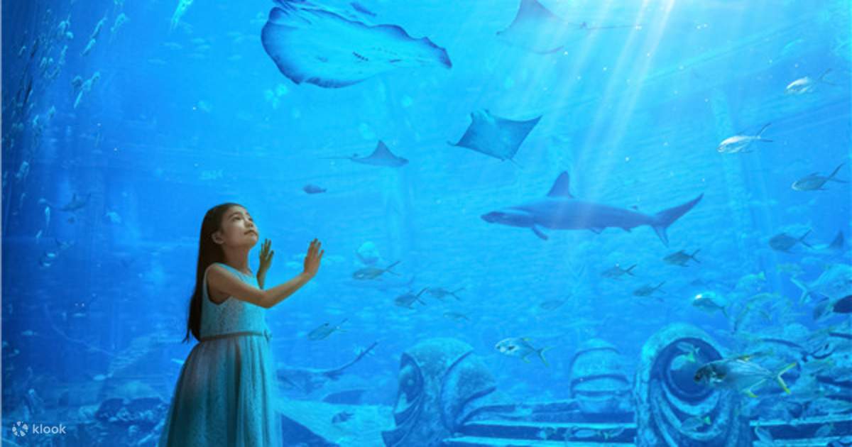 三亞亞特蘭蒂斯失落的空間水族館 Klook 客路