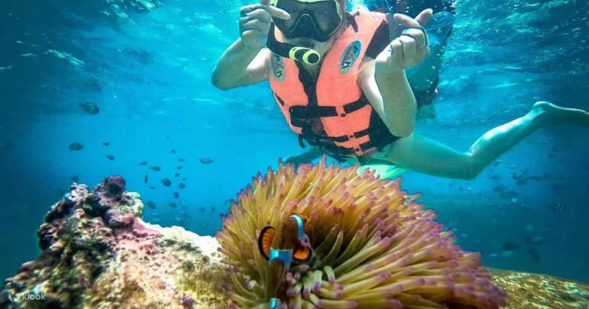 Mengalum Island Day Tour With Massage Experience in Sabah - Klook