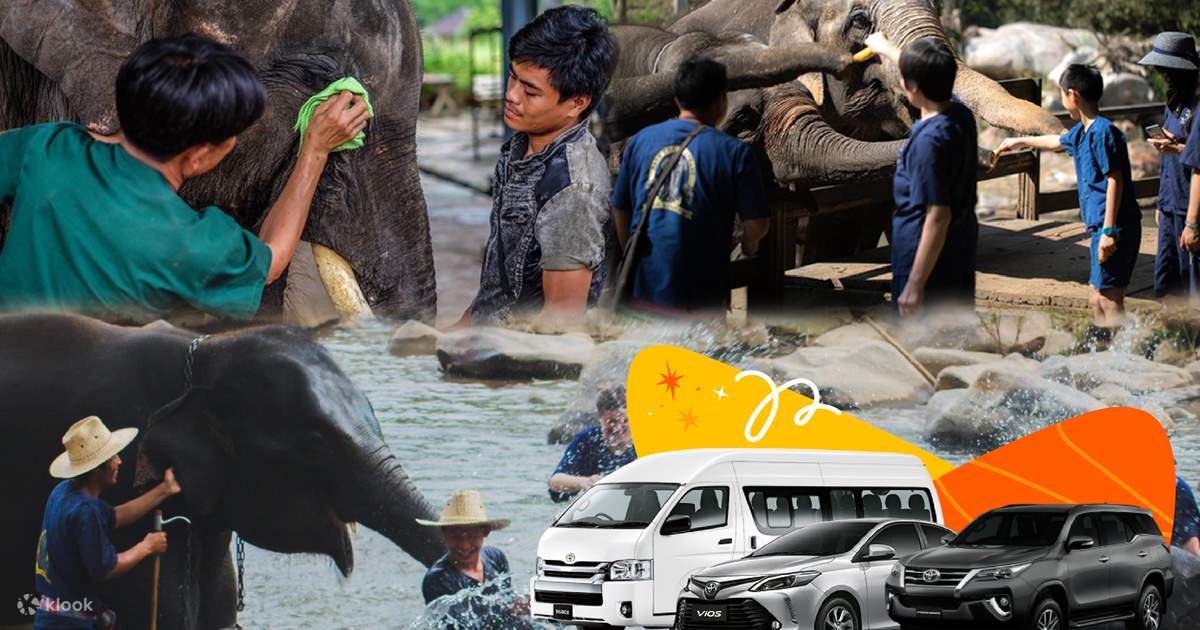 Chiang Mai: Hug Chang Maetaeng Elephant Park with Private Transfer ...