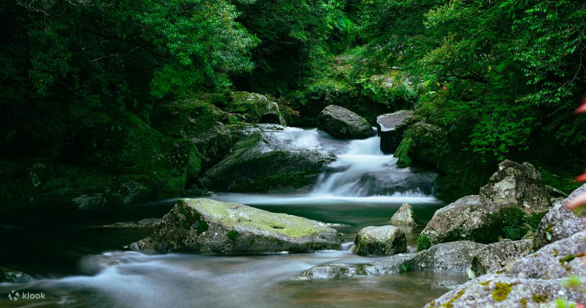 Bus touristique YAKUZARU : Excursion d'une journée complète sur l'île ...