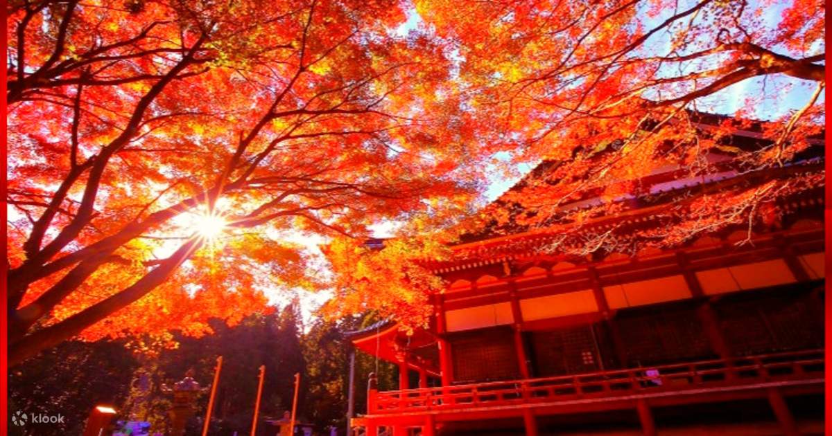 Enryakuji Temple & Sakamoto Cable Car One-day Autumn Tour - Klook Россия