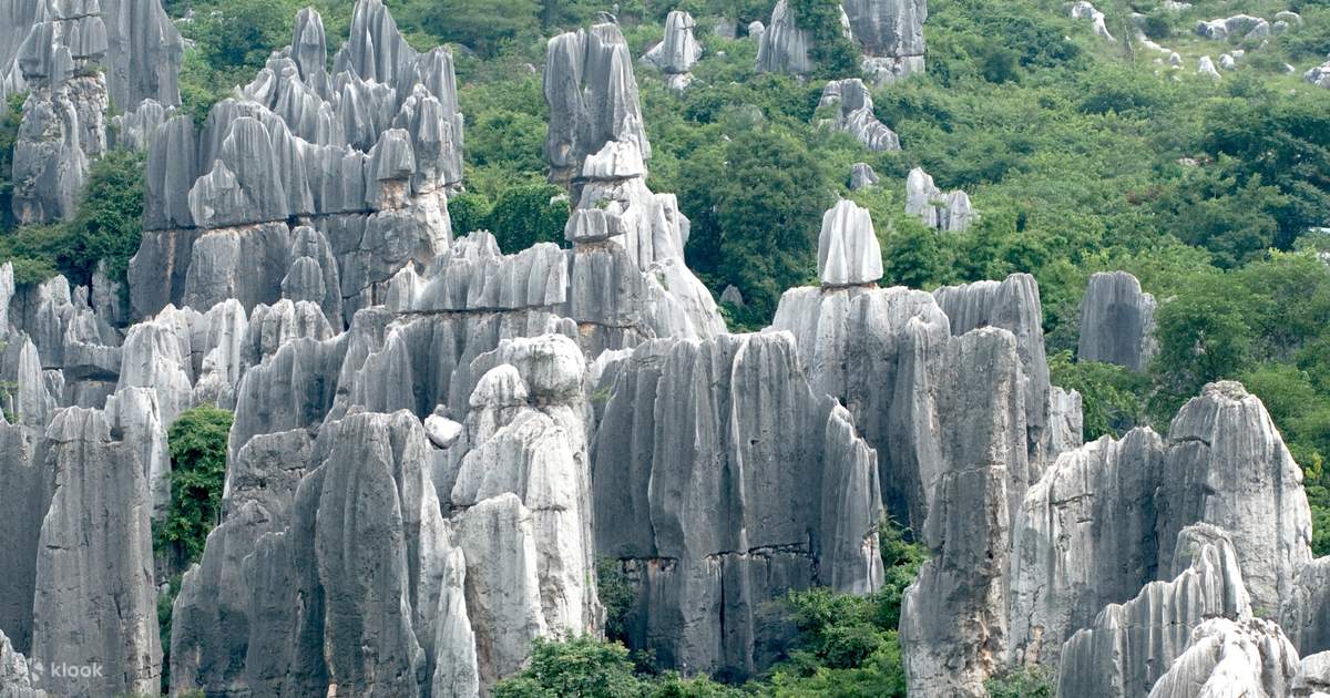 雲南昆明石林風景區門票 Klook 客路