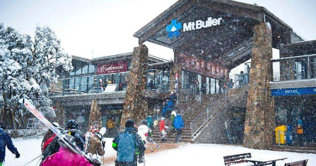Private Mount Buller Snow & Ski Tour in Melbourne - Klook
