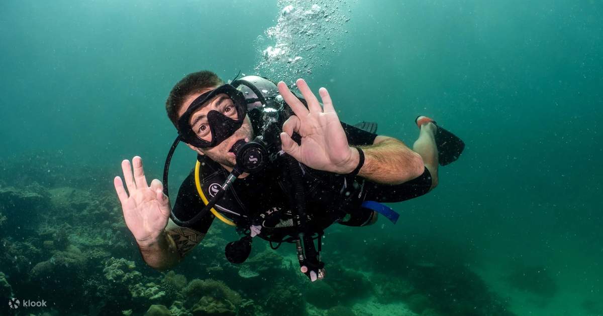 在普吉島探索水肺潛水探索海底世界 | PADI 五星級潛水中心 - Klook香港