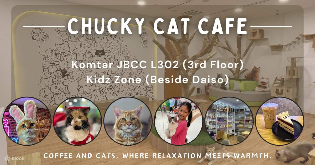 Chucky Cat Cafe in Johor Bahru, Malaysia - Klook Singapore