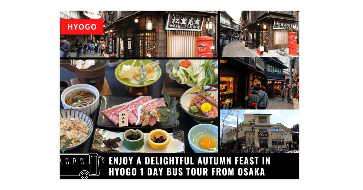 Kobe Premium Outlets & Arima Onsen Town Tour from Osaka with Lunch ...
