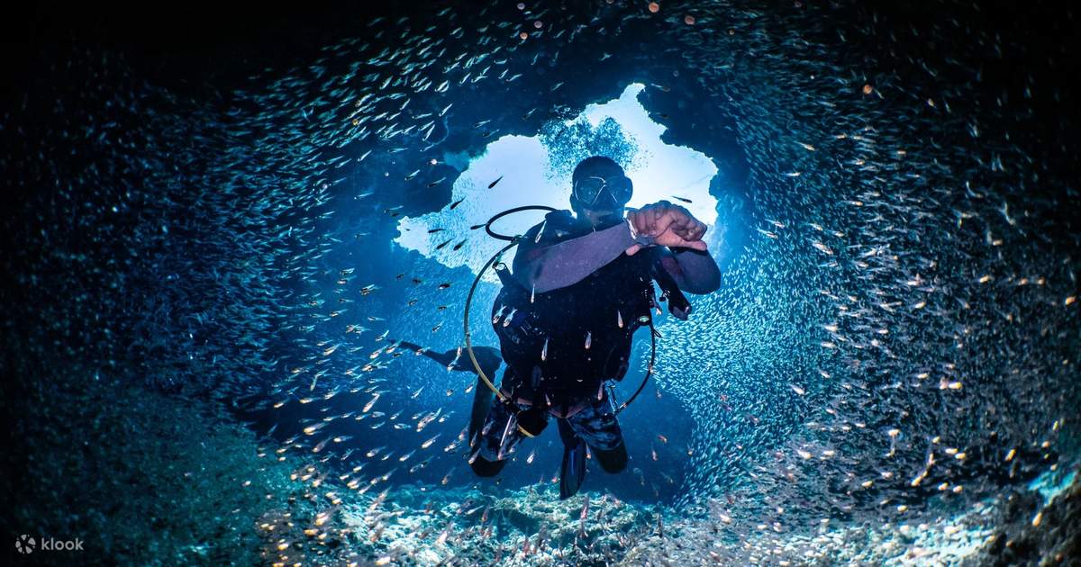 Dive Beyond Limits: Advanced Open Water Diver in Baa Atoll with PADI 5 ...