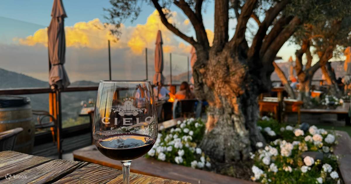 Indulge in a Private Wine Tasting Tour Experience in Malibu - Klook ...