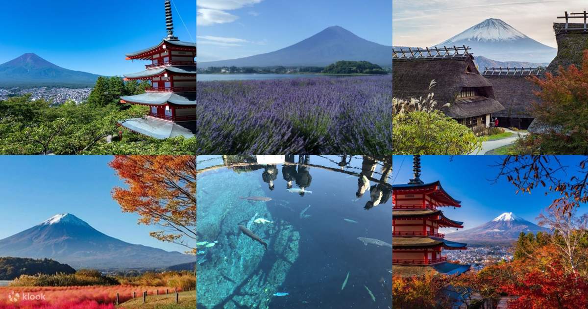 Excursion d'une journée en photo sur le mont Fuji IG ! Parc Arakurayama ...