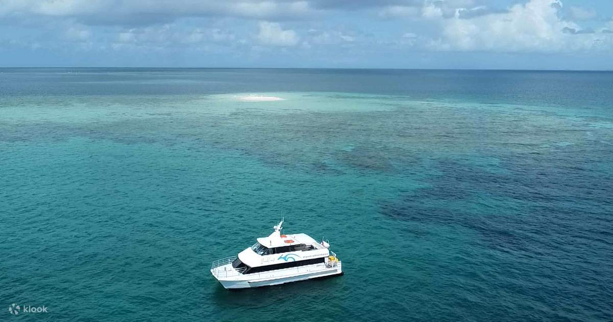 Outer Reef Snorkel and Dunk Island Small Group Tour from Cairns - Klook ...
