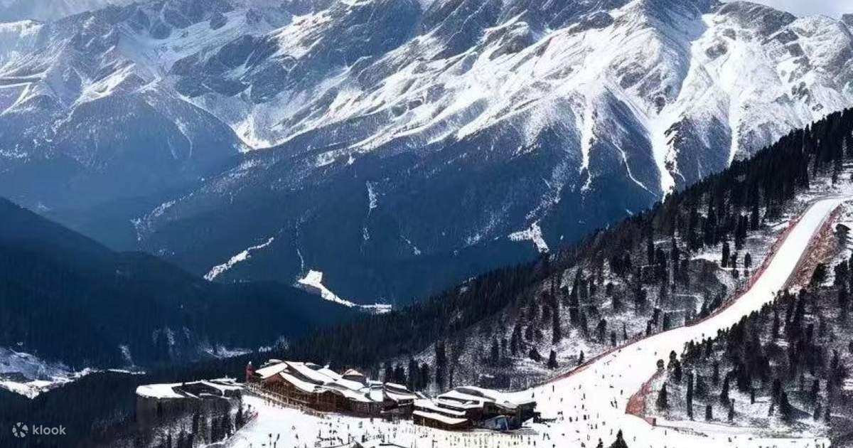 Sichuan Province Partridge Mountain Deep Snow Day Tour (Natural Park ...