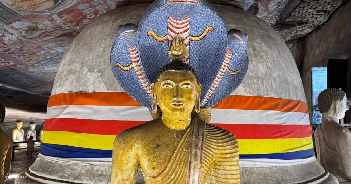 Sri Lanka 8-Day Private Sigiriya & Yala National Park Tour - Klook ...