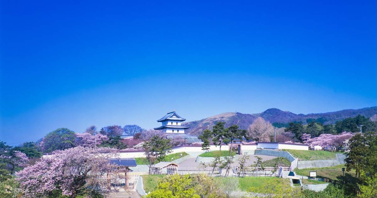 Hokkaido Hakodate Matsumae Castle + Goryokaku + Seagull Island Cherry ...