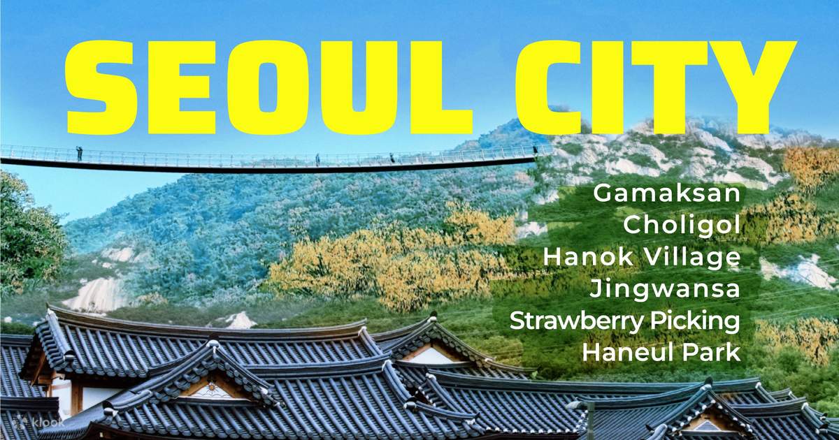 Seoul City & Seasonal Hot Attractions One Day Tour - Klook United States