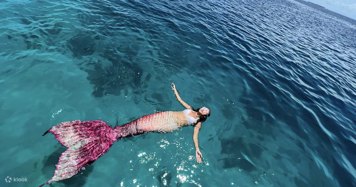 Explore the Depths with PADI Advanced Mermaid in Kota Kinabalu ...