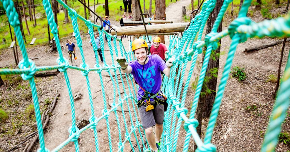 TreeTop Challenge at Tamborine Mountain from Gold Coast - Klook Australia