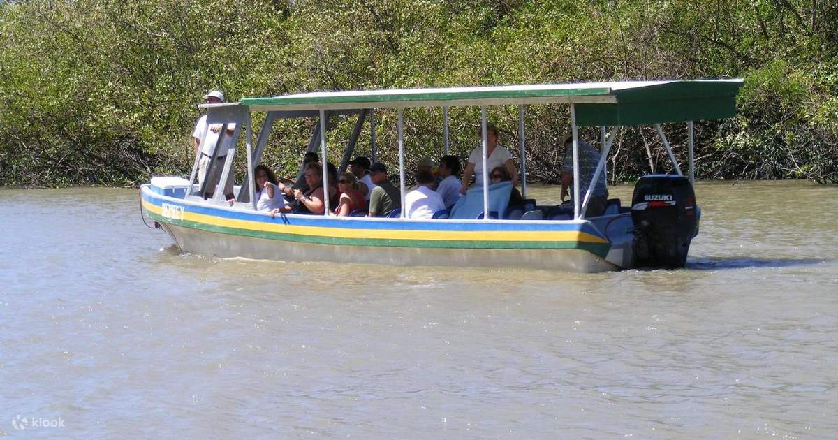 Crucero por el río en la jungla del Parque Nacional Palo Verde y ...