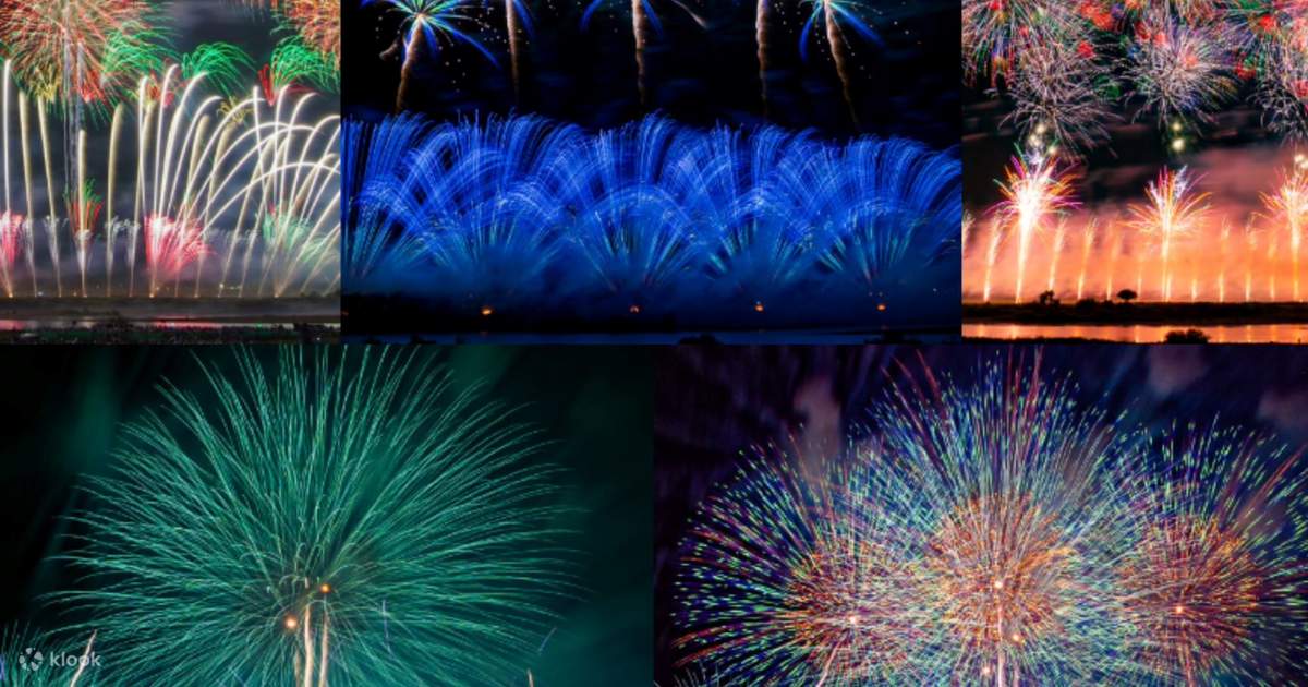 Tone River Musical Fireworks Show Fireworks Festival Day Tour (Depart ...