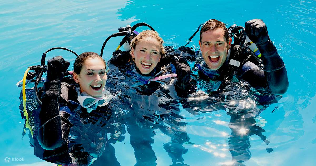 Scuba Diving in Komodo National Park with Maika Diving - Klook Malaysia