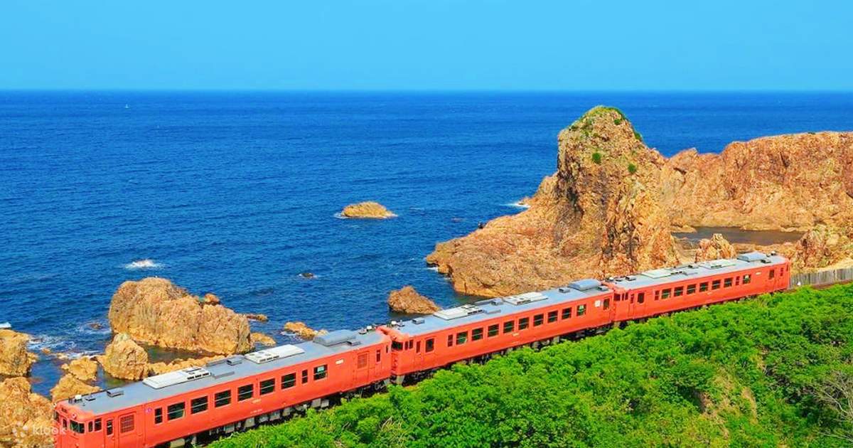 [Small Group of 9] Izu Mount Omuro/Cactus Park & Ocean View Train (with ...
