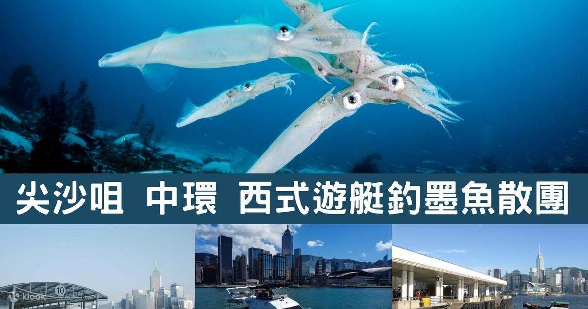 Chia tay câu mực đêm trên du thuyền máy lạnh kiểu phương Tây Tsim Sha ...