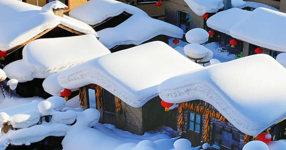 Tour privato di lusso di 6 giorni a Harbin Muxue Ice City - Klook Stati ...