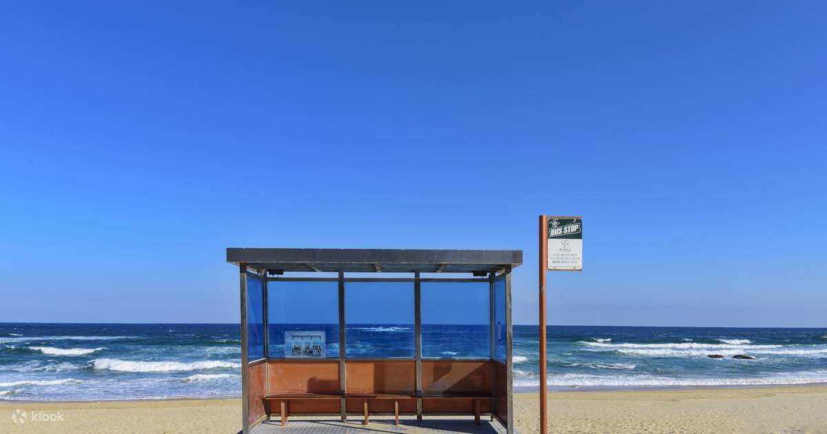 Gangneung Private Car with Driver: Visit Jumunjin BTS Bus Stop ...