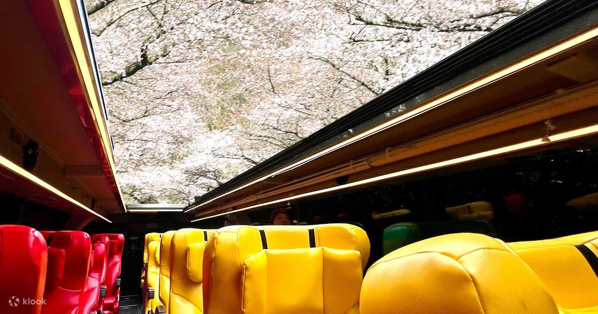 Sakura Sky Ride: Open-Top Bus Adventure thru Yamagata Cherry Blossom ...